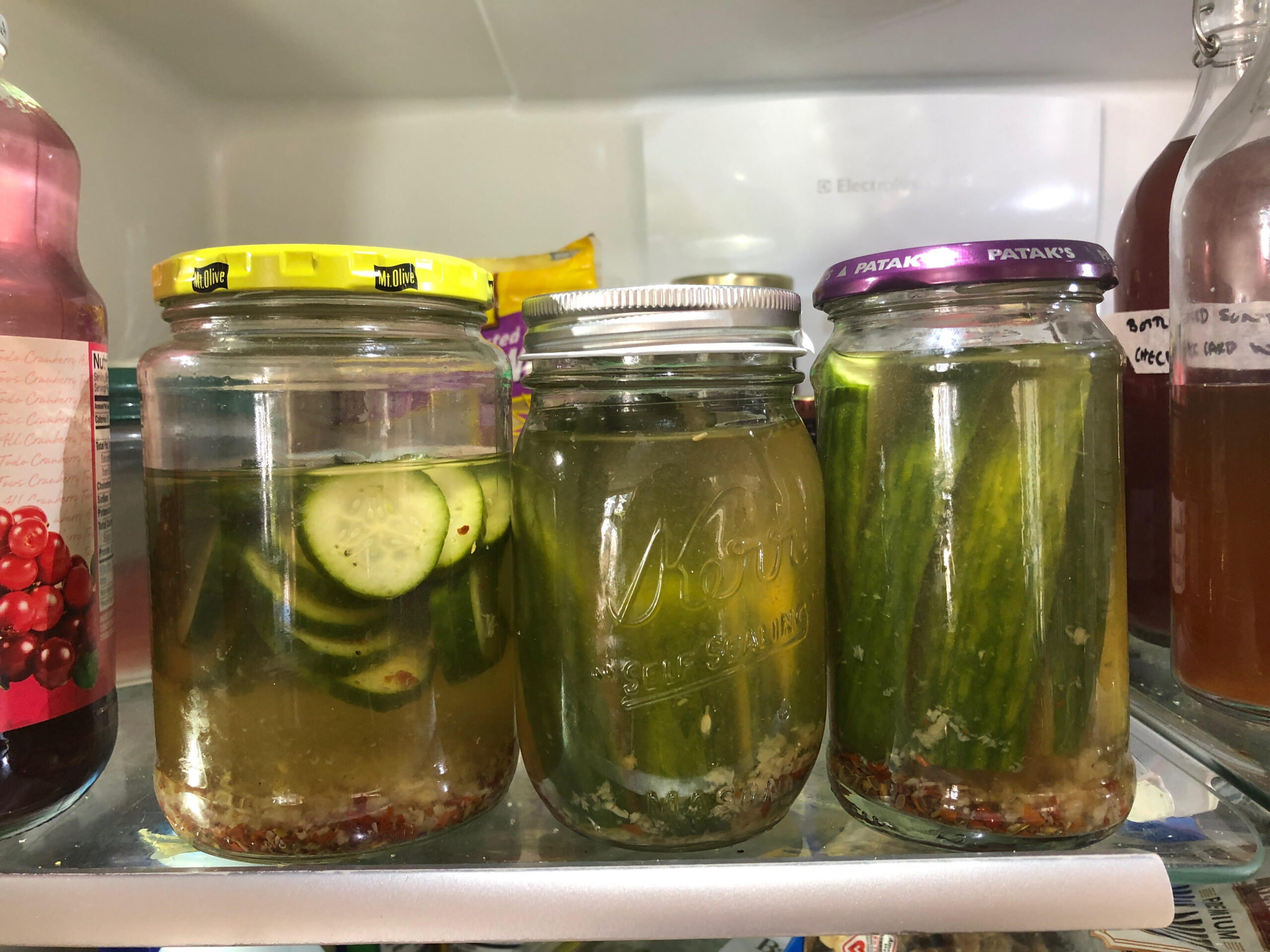 Nutrition: Fermenting 101 for Kids | Home Base